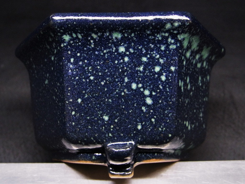 Container #228 – Mame Pots